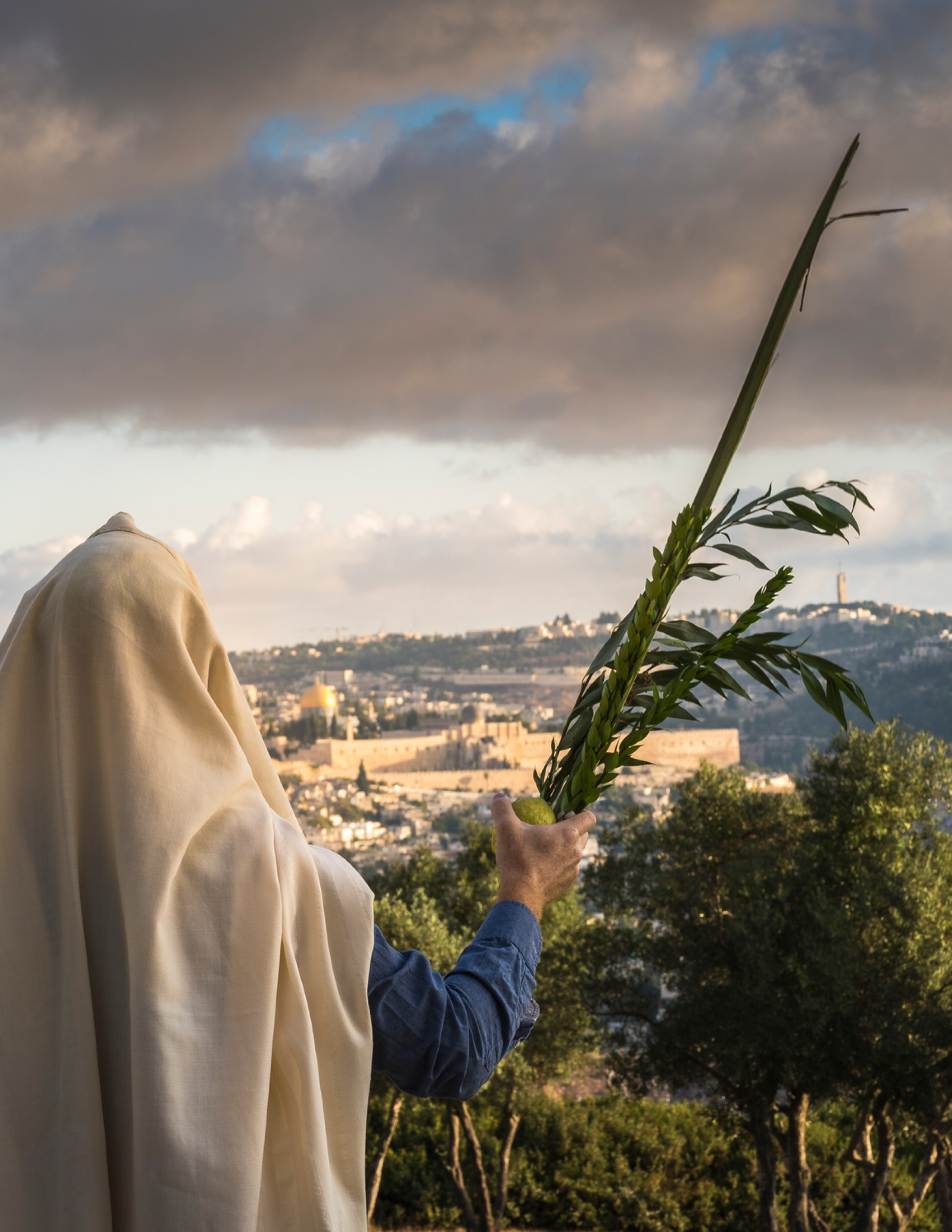 Sukkot: Faith Made Sight – the mountain mensch