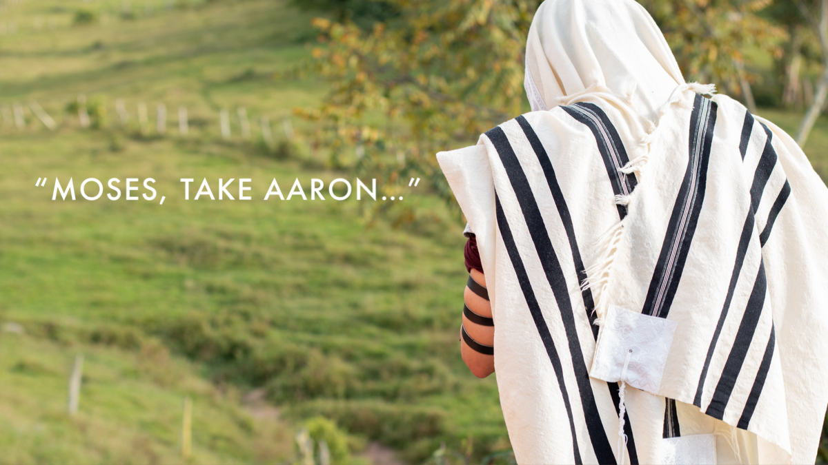 “Moses, Take Aaron” – the mountain mensch