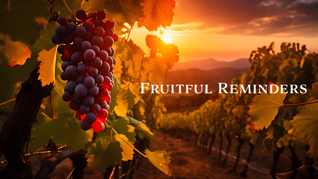 Fruitful Reminders – the mountain mensch