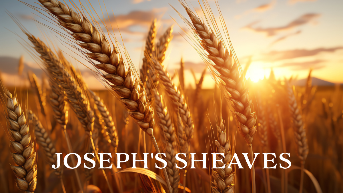 Joseph’s Sheaves – the mountain mensch