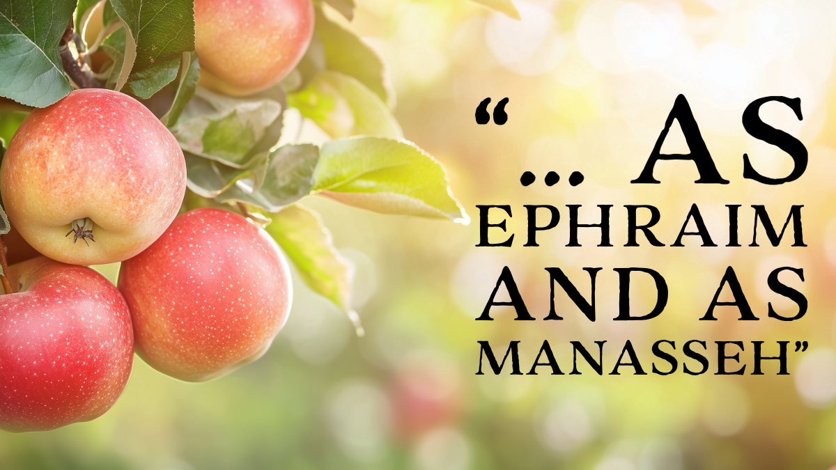 As Ephraim and As Manasseh” – the mountain mensch