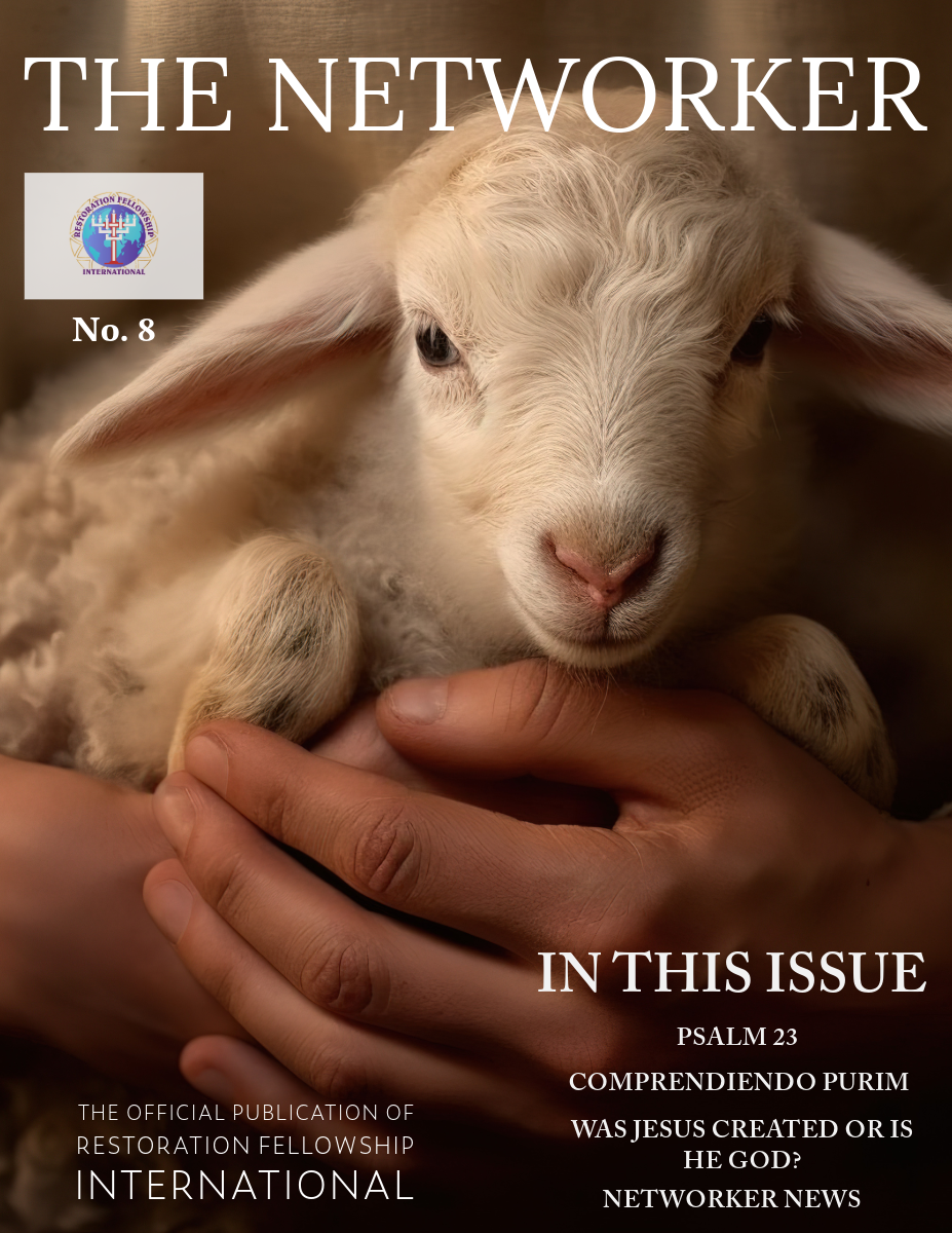 The Networker: February 2025 – the mountain mensch